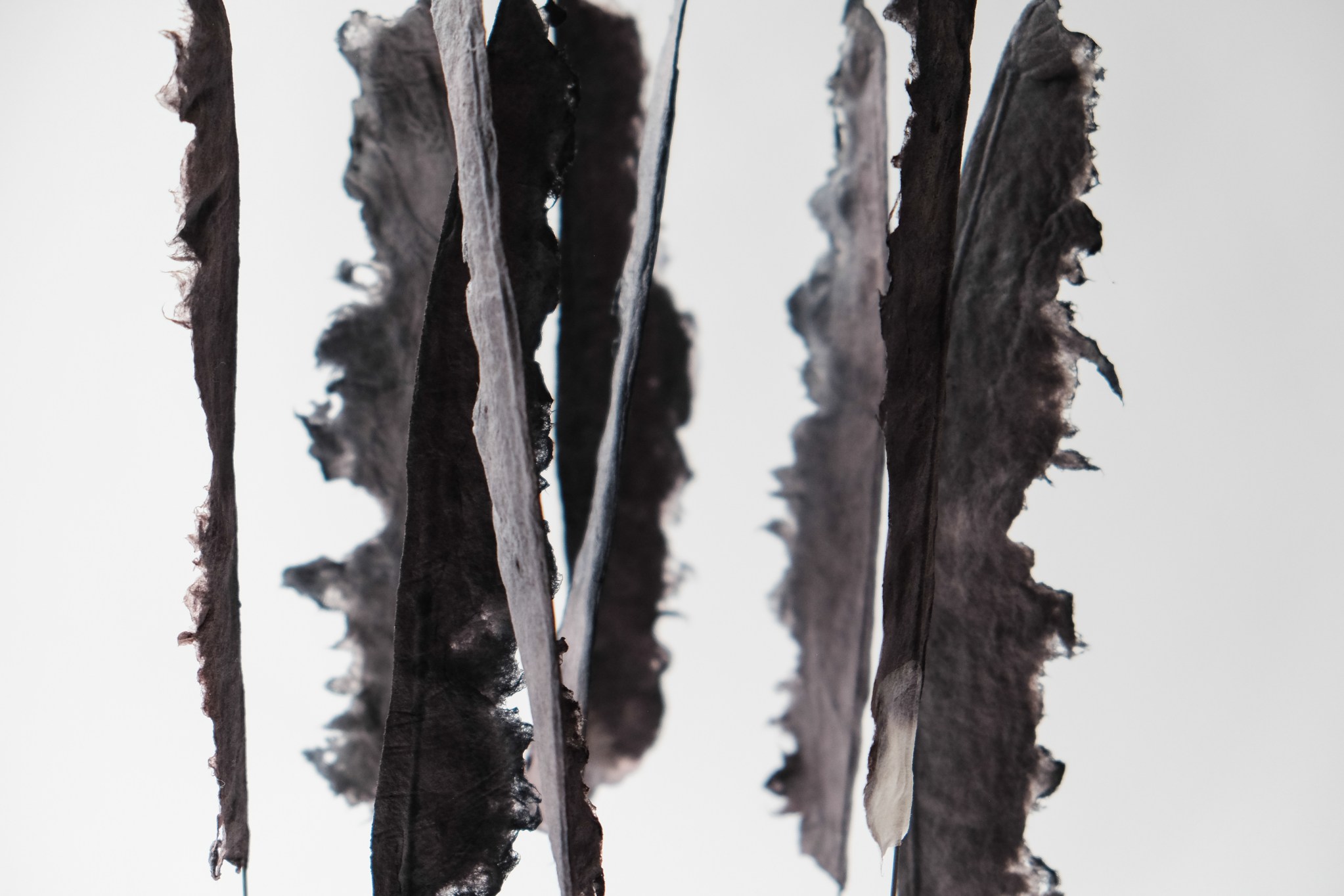 News | Jane Ponsford